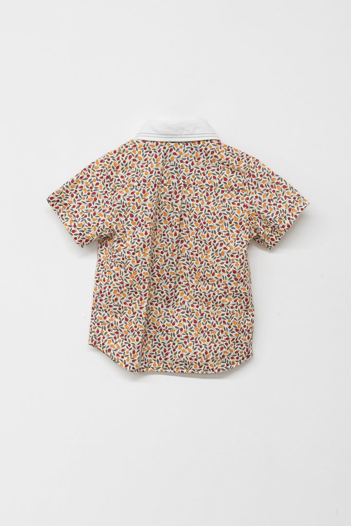 SMOX ROX HOLIDAY SHIRT – Chocolate Freckles